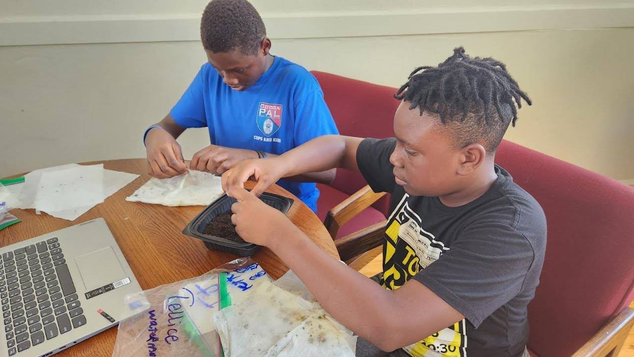 Cocoa gardens – I TALK TO STRANGERS FOUNDATION, INC.